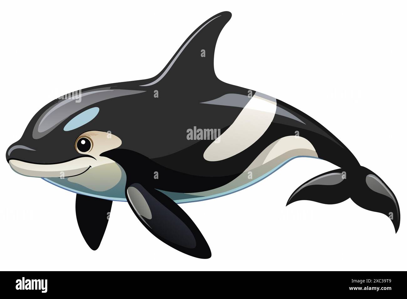 Cute baby orca digital art hi-res stock photography and images - Alamy