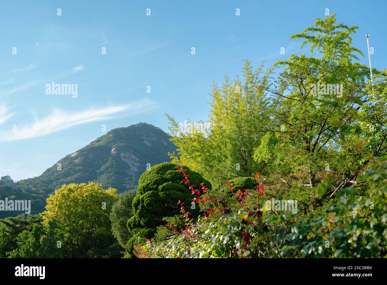 Summer of Bugaksan mountain in Seoul, Korea Stock Photo - Alamy
