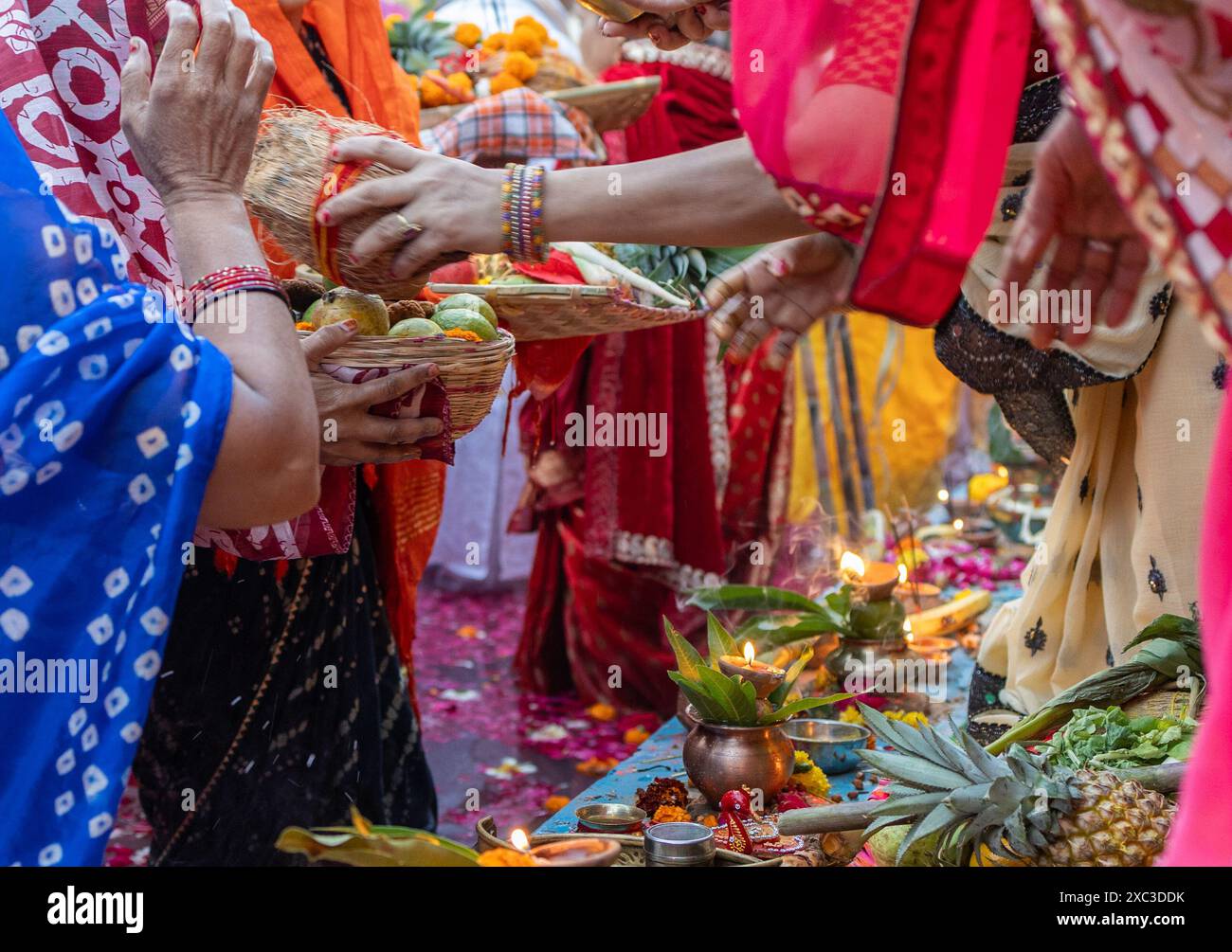 indian devotee worshiping hindu almighty sun god with holy offerings at ...