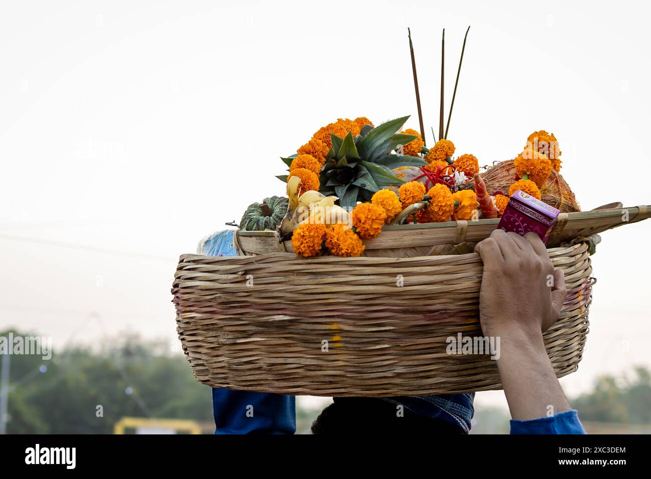 people carrying holy offering at head on the occasion of chhath ...