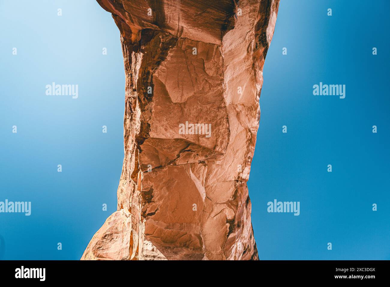 Looking under stone hi-res stock photography and images - Alamy