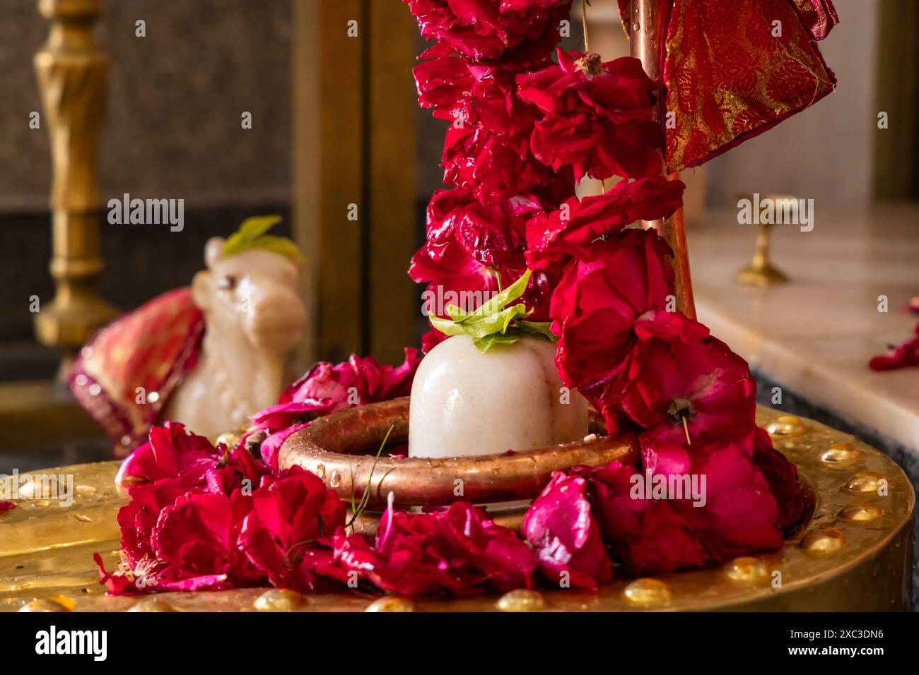 hindu god lord shivalinga prying by devotee with offering at temple at ...