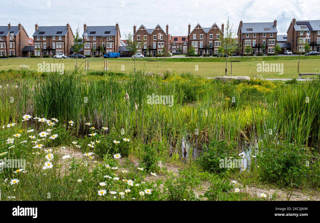 New Housing Development with landscaped gardens, water features ...
