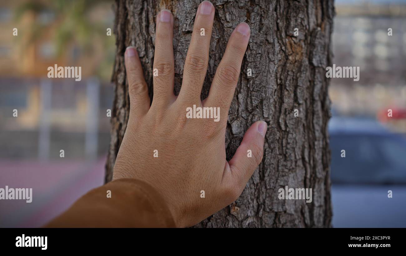 A man's hand touching the rough texture of a tree trunk outdoors ...