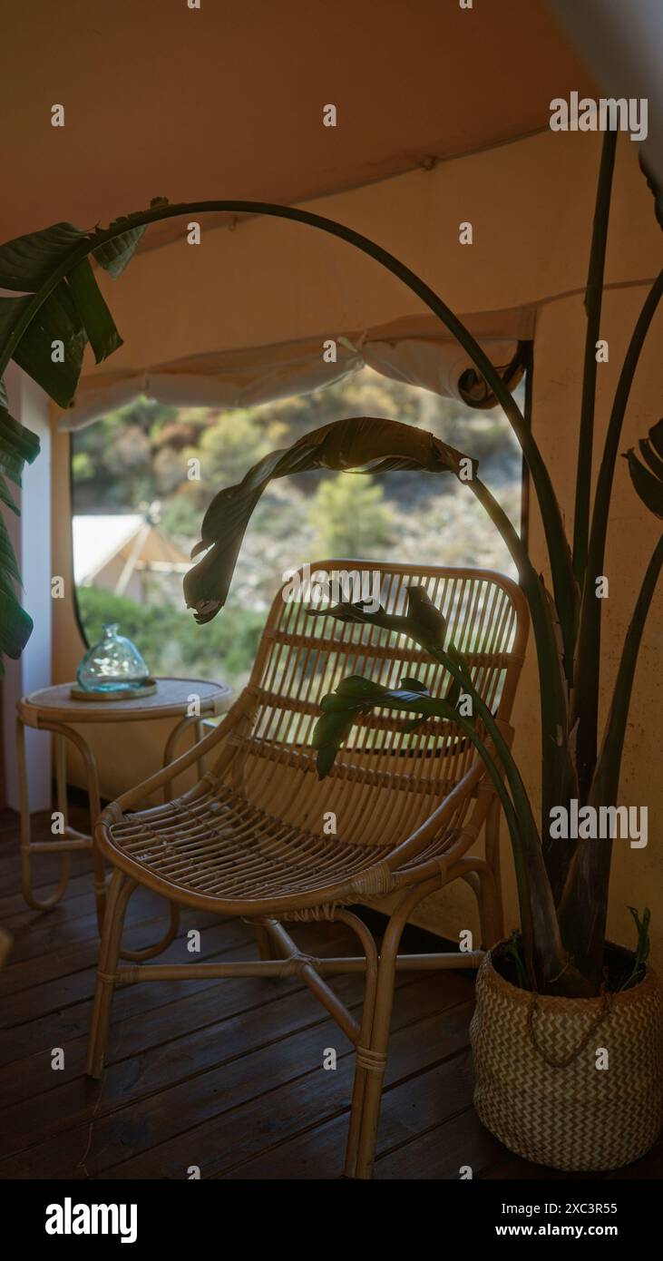 A cozy camping setup featuring a woven chair, green plants, and a ...