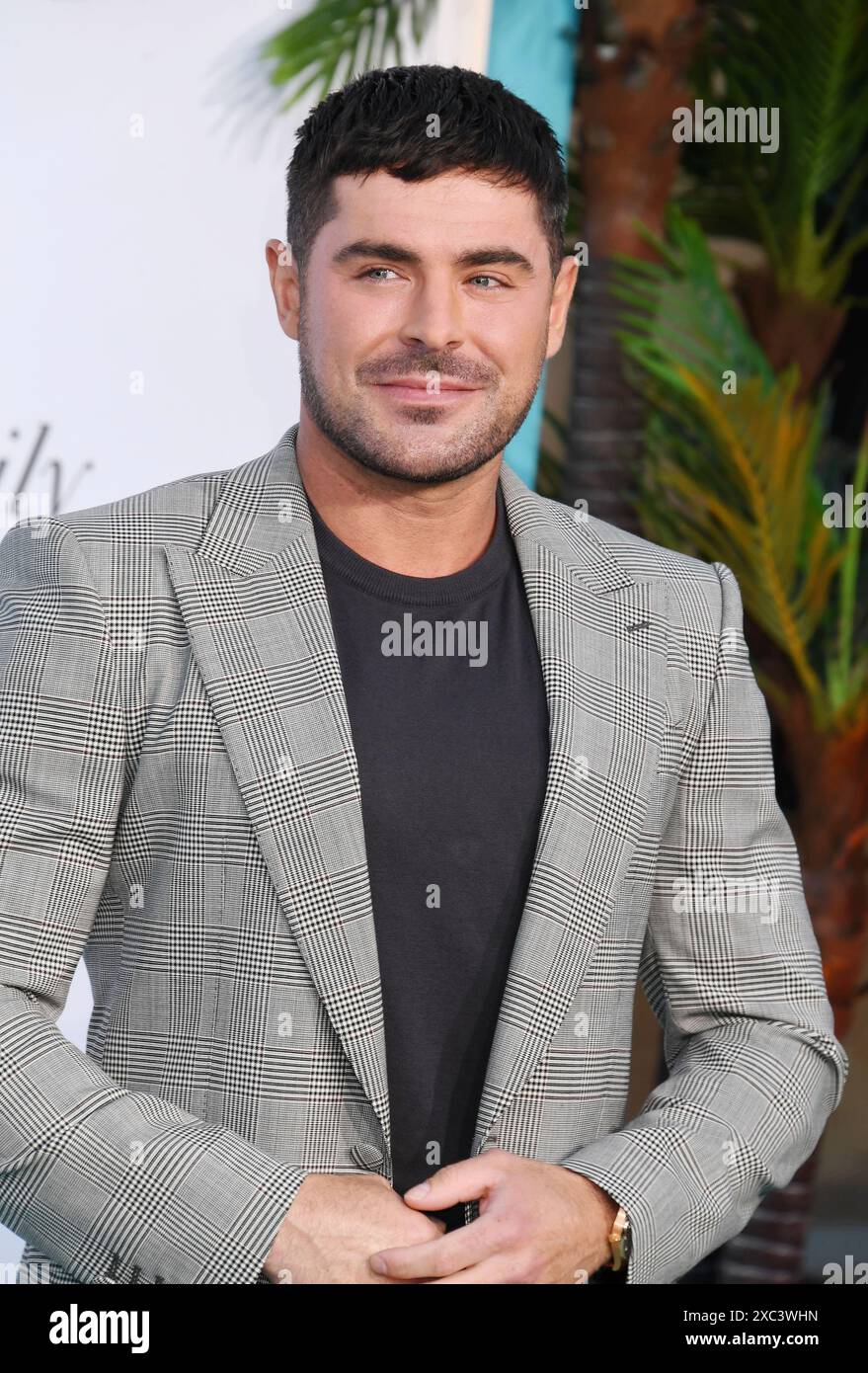 Los Angeles, California, USA. 13th June, 2024. Zac Efron attends the ...
