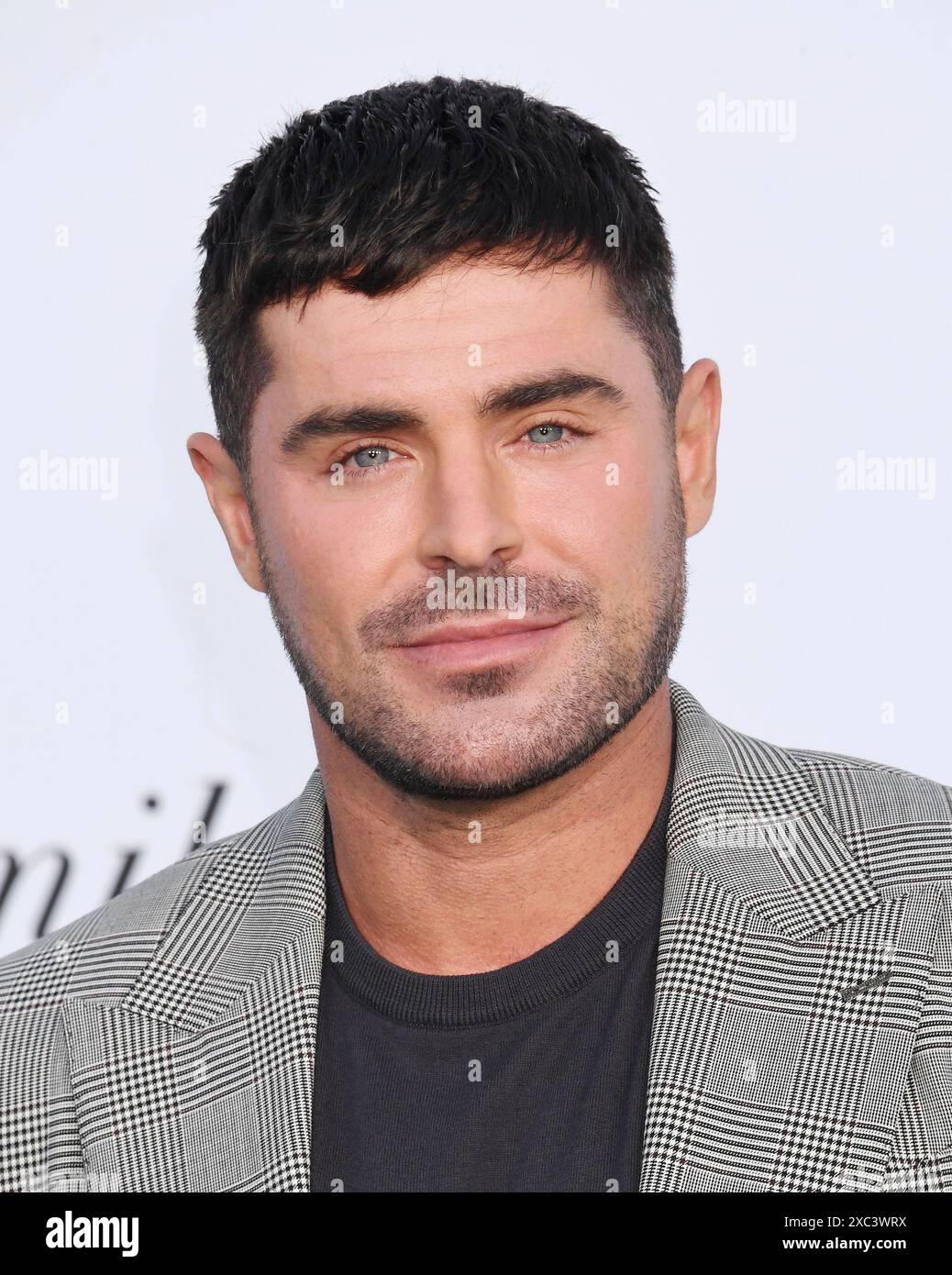 Los Angeles, California, USA. 13th June, 2024. Zac Efron attends the ...