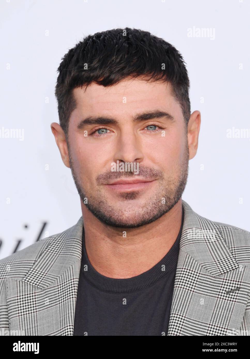 Los Angeles, California, USA. 13th June, 2024. Zac Efron attends the ...