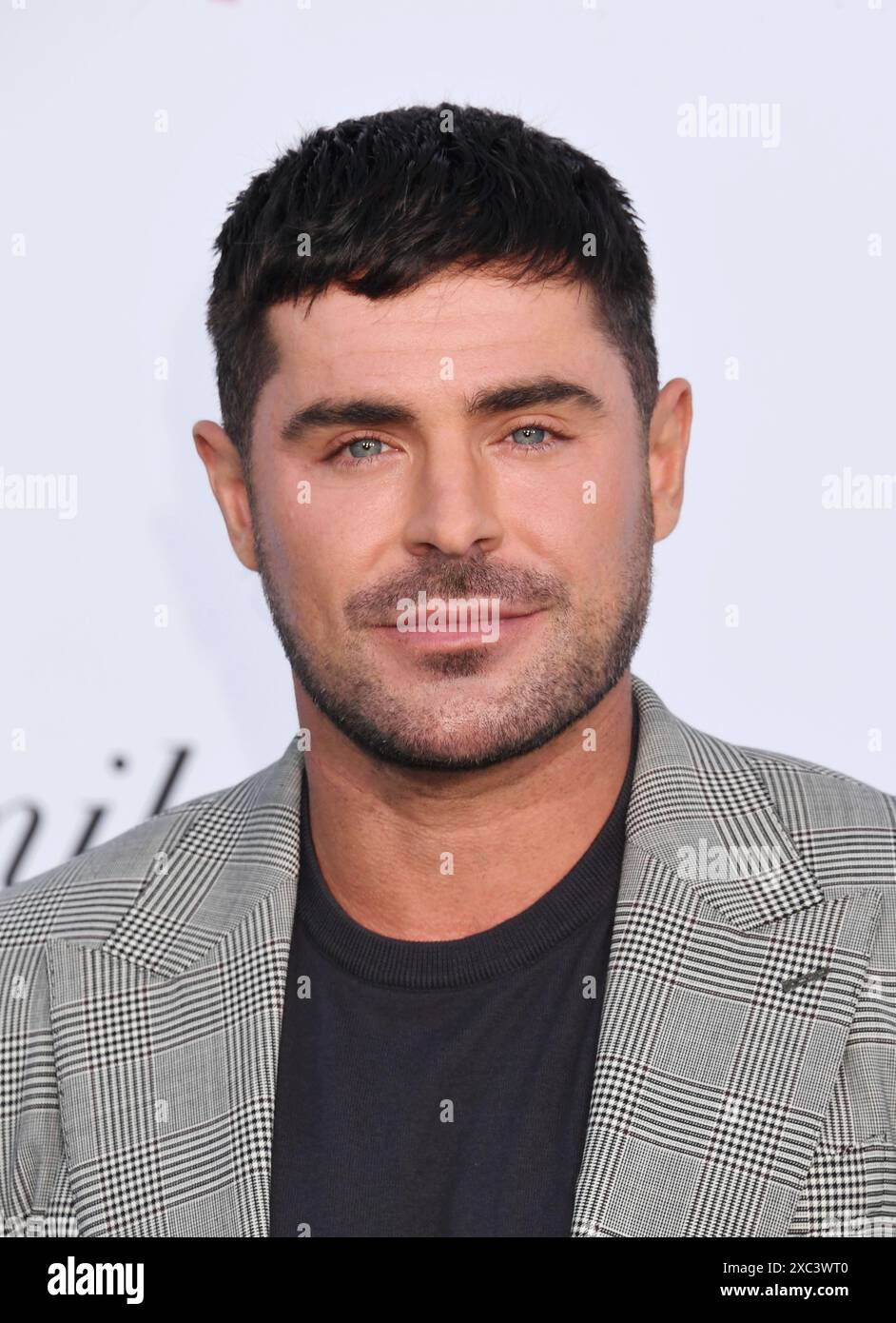 Los Angeles, California, USA. 13th June, 2024. Zac Efron attends the ...