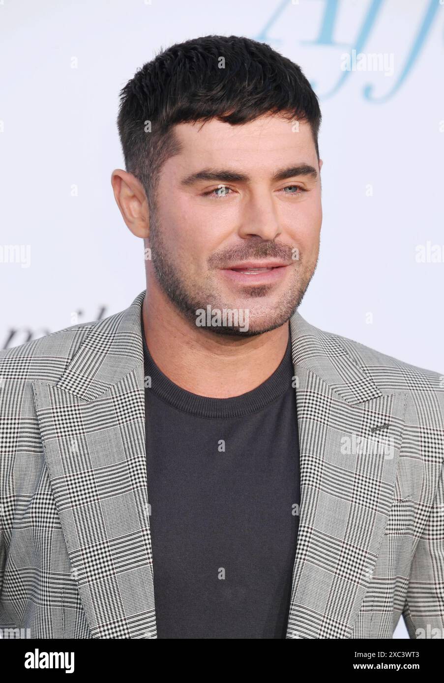 Los Angeles, California, USA. 13th June, 2024. Zac Efron attends the ...