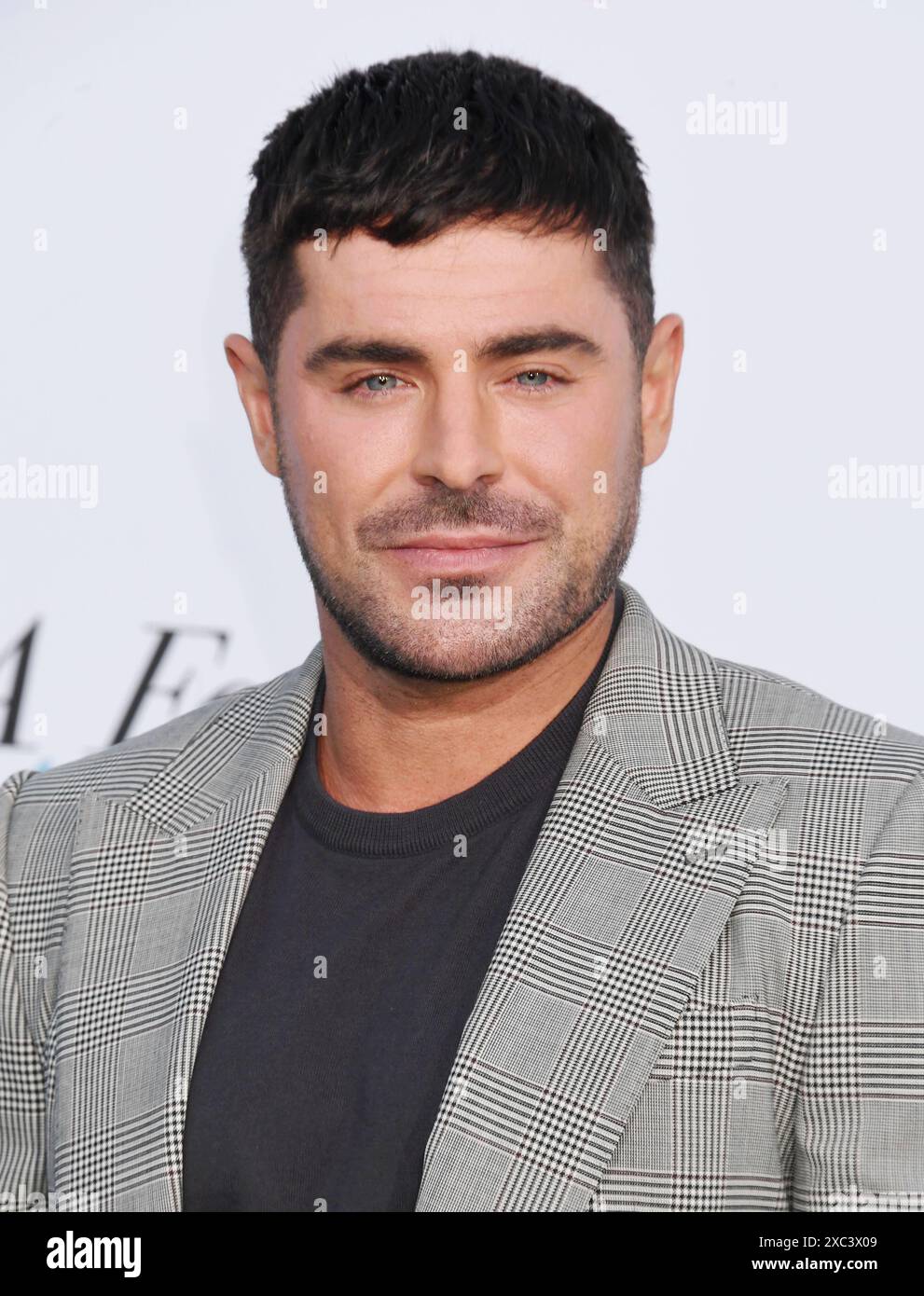 Los Angeles, California, USA. 13th June, 2024. Zac Efron attends the ...