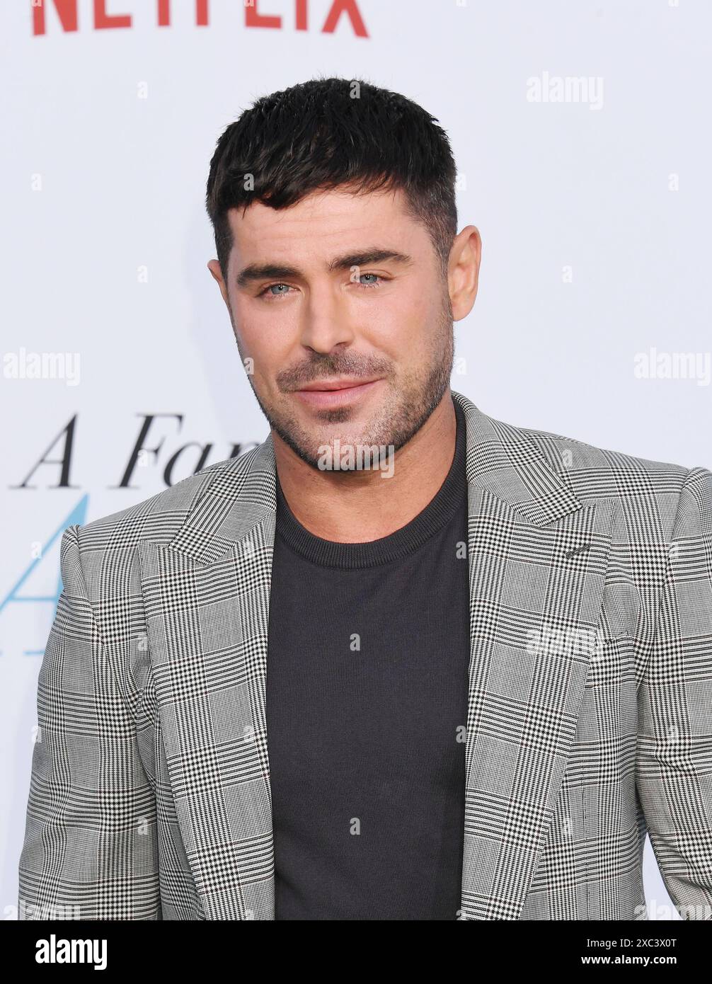 Los Angeles, California, USA. 13th June, 2024. Zac Efron attends the ...