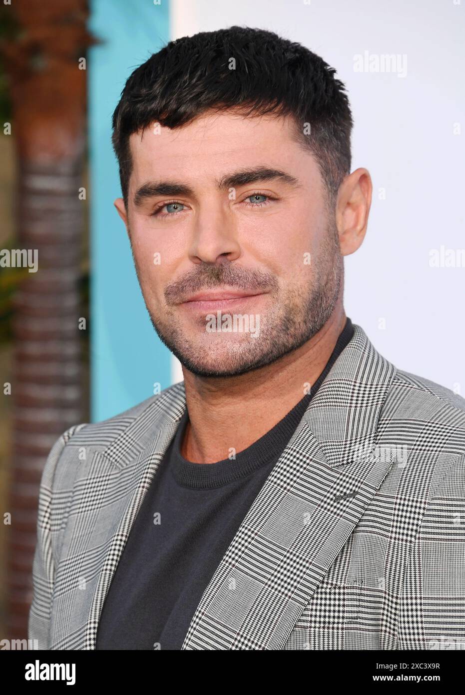 Los Angeles, California, USA. 13th June, 2024. Zac Efron attends the ...