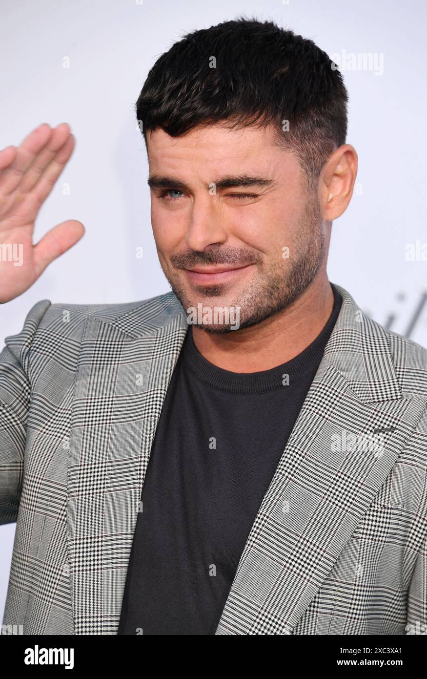 Los Angeles, California, USA. 13th June, 2024. Zac Efron attends the ...