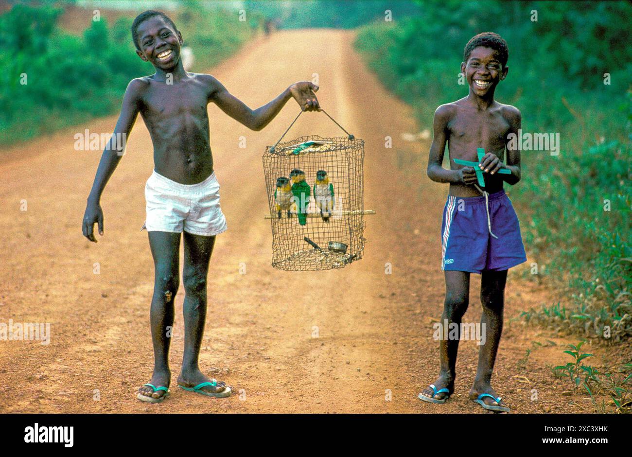 Suriname - Maroon boys sell captured Amazon parrots to passers-by Stock ...