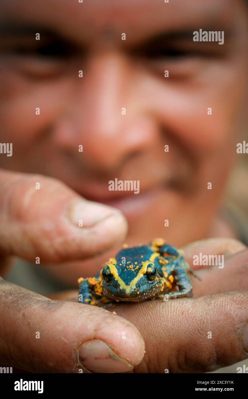 Suriname, Tepu. An Indian from the Trio tribe shows a poison dart frog ...