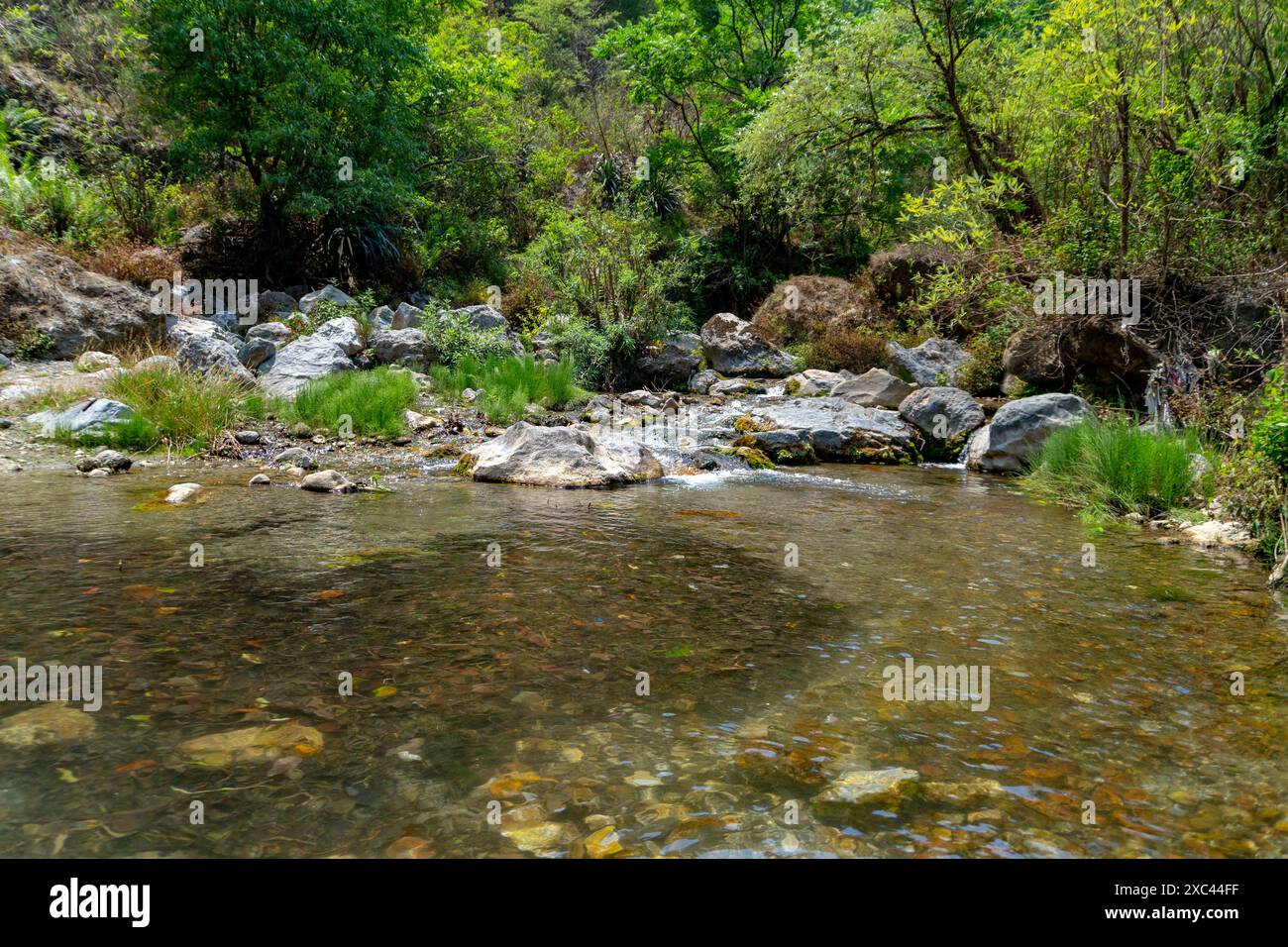 Footage of freshwater stream in Dehradun outskirts, Uttarakhand, India ...