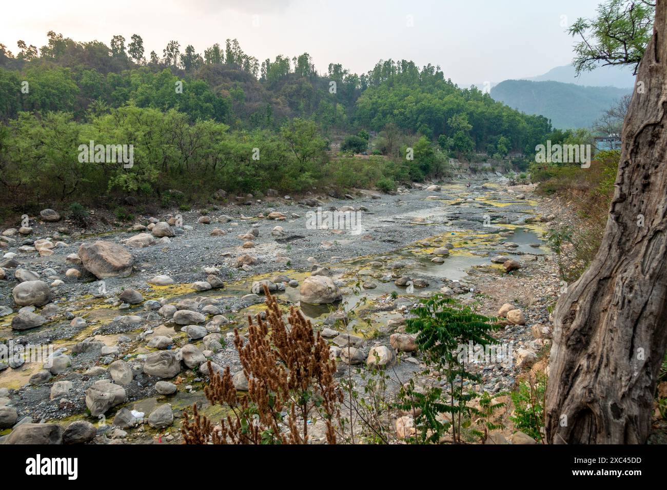 Environmental degradation hi-res stock photography and images - Alamy