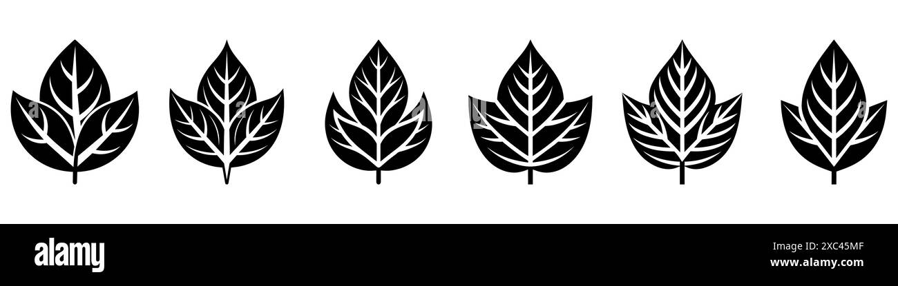 Leaf icon. Set of different leaves icons. Leaf vector icons. Black ...