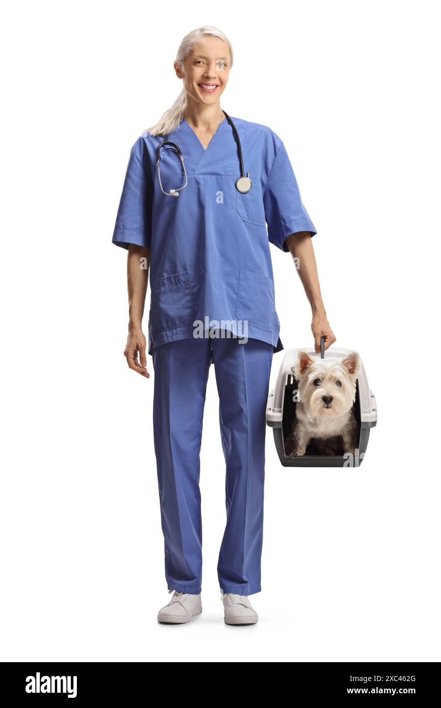 Female veterinarian in a blue uniform holding a pet carrier with a dog ...