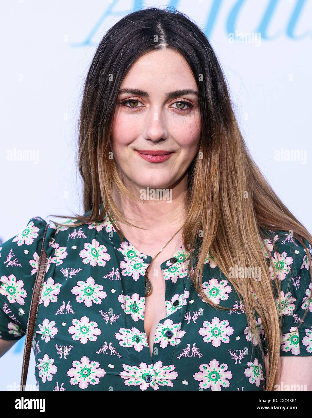 Hollywood, United States. 13th June, 2024. HOLLYWOOD, LOS ANGELES ...