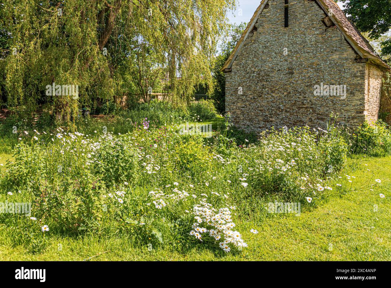 William morris flowers hi-res stock photography and images - Alamy