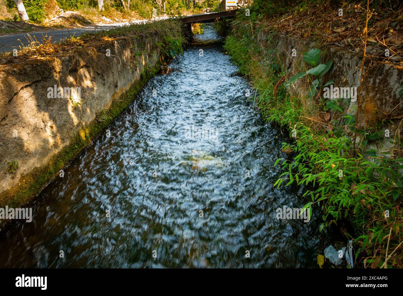 Scenic rural canal flowing through Dehradun outskirts in Uttarakhand ...