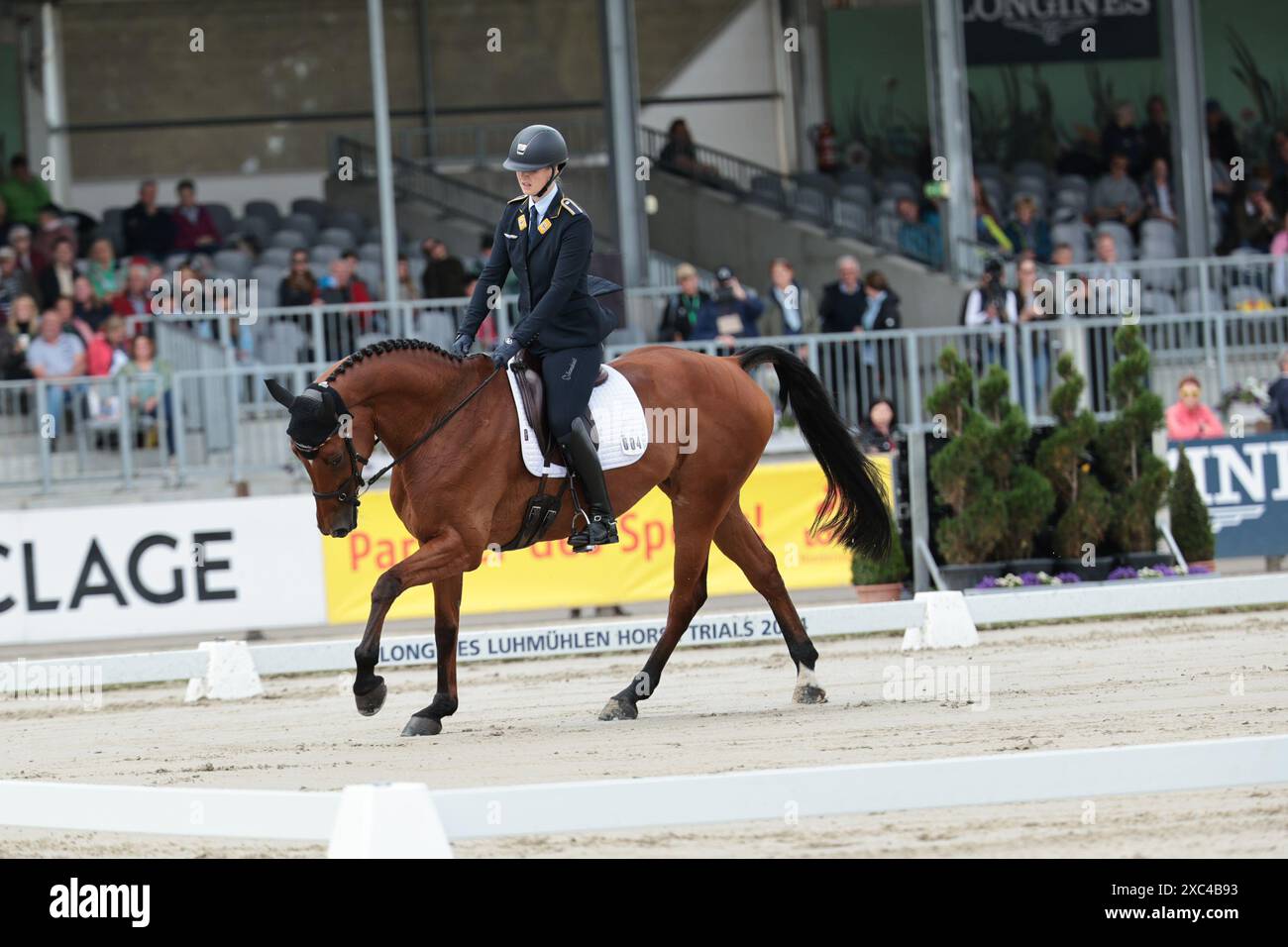 Luhmuhlen, Germany, June 14, 2024 Libussa Lubbeke of Germany with ...