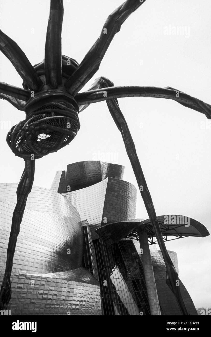 Guggenheim Museum, contemporary art by architect Frank Gehry, and the ...