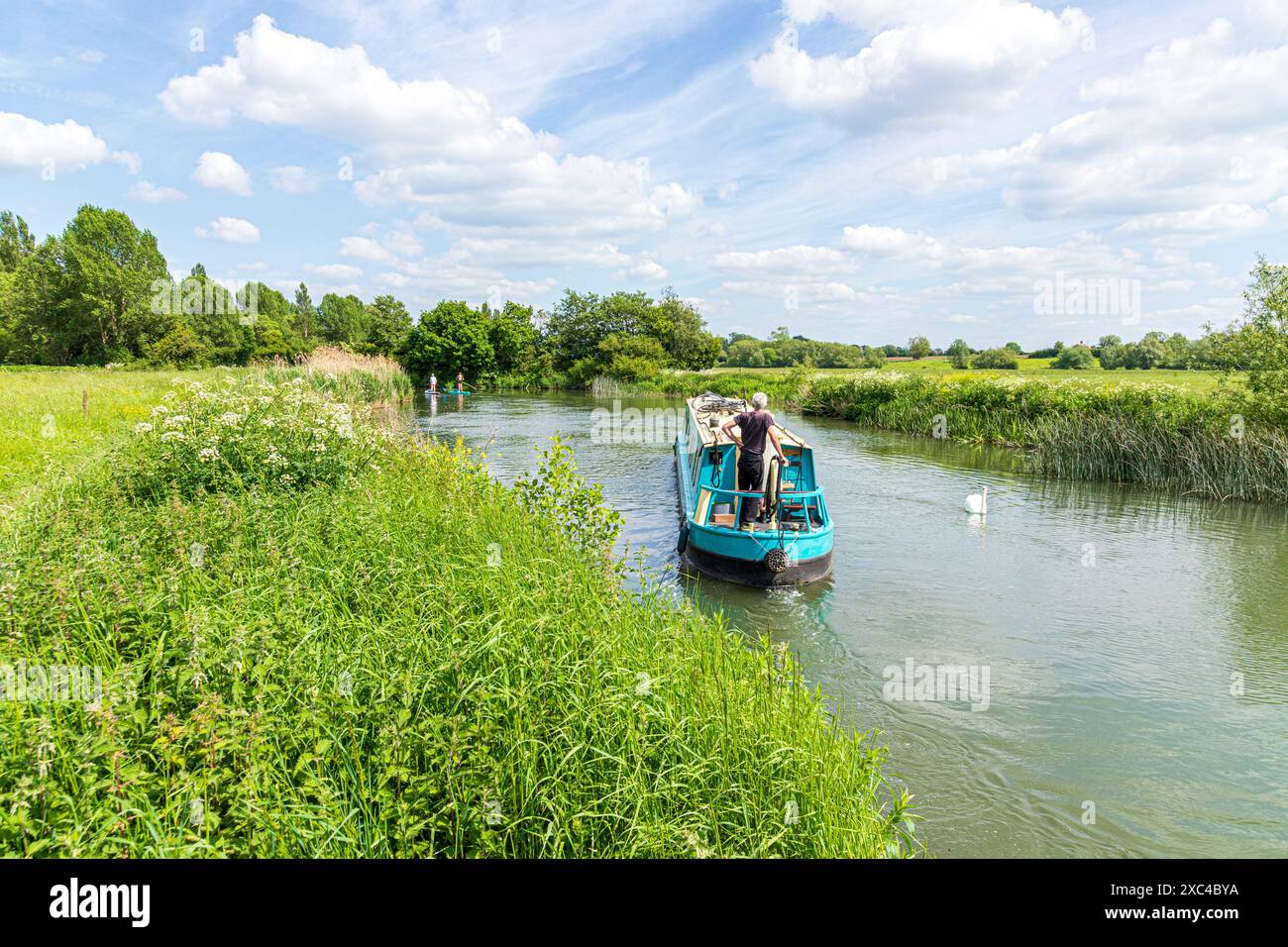 A long boat, a swan and two paddleboarders on the River Thames at ...