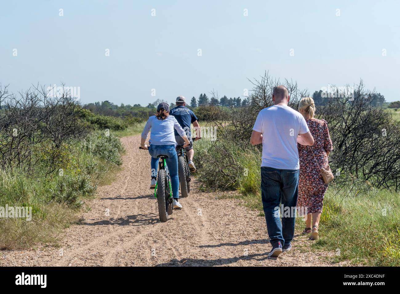 Cyclists on fat bikes pass people walking along the path behind ...