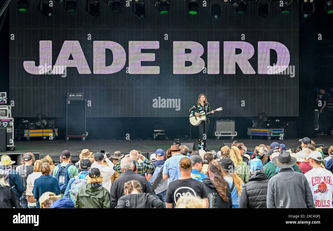 Jade americano hi-res stock photography and images - Alamy