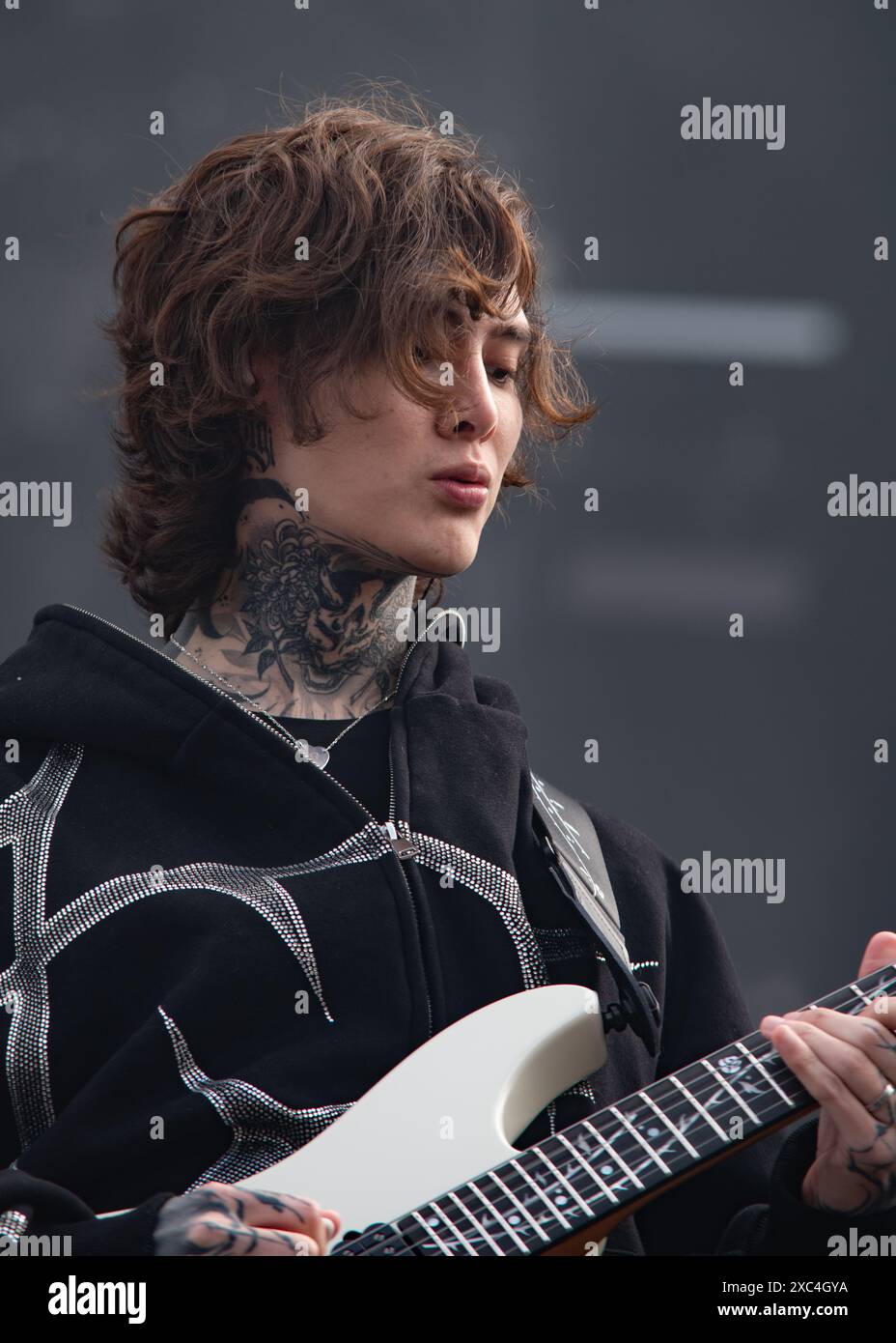 Polyphia download hi-res stock photography and images - Alamy