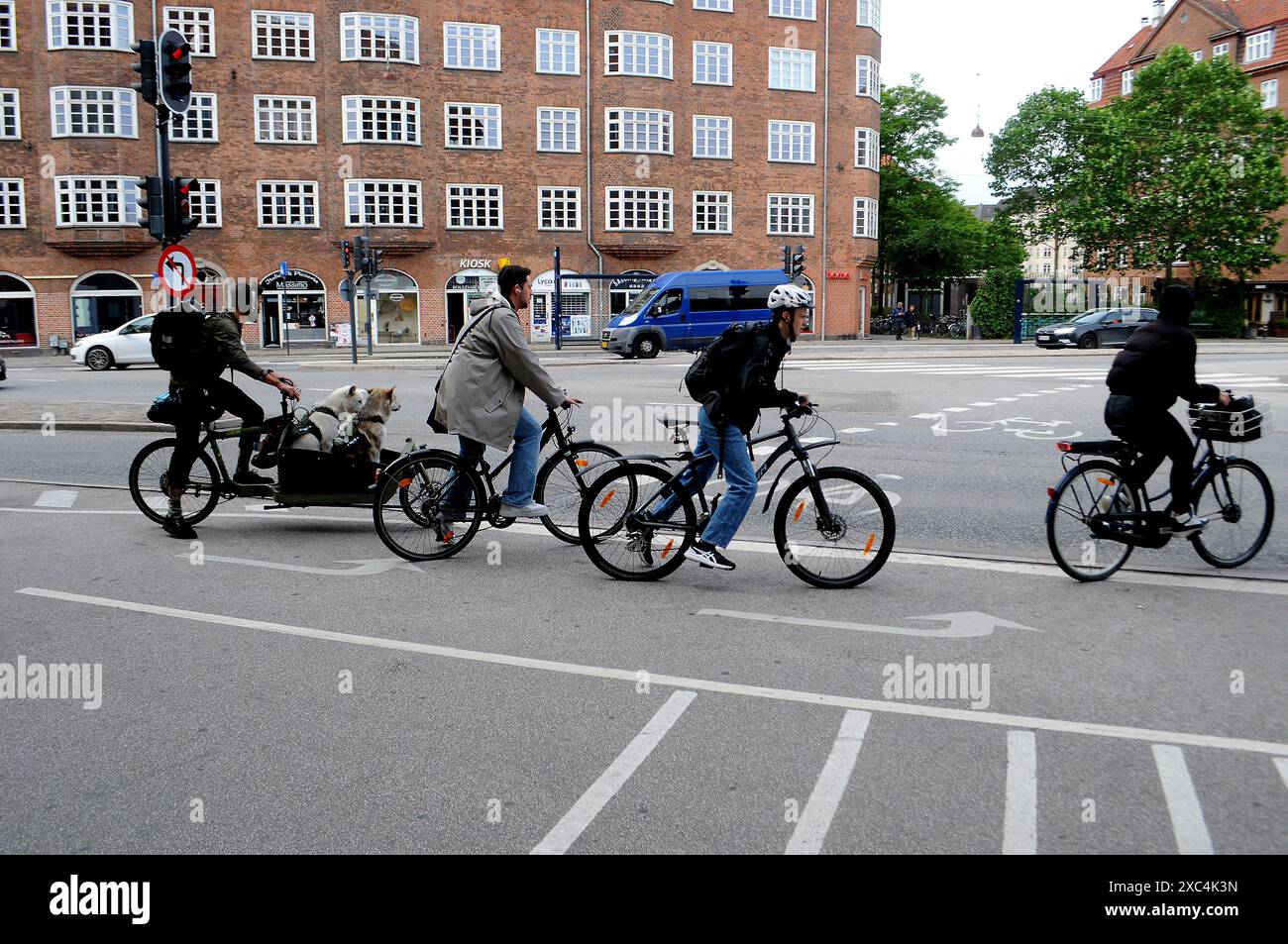Copenhagen/ Denmark/14 JUNE 2024/ Cargo bikes are very popular in ...