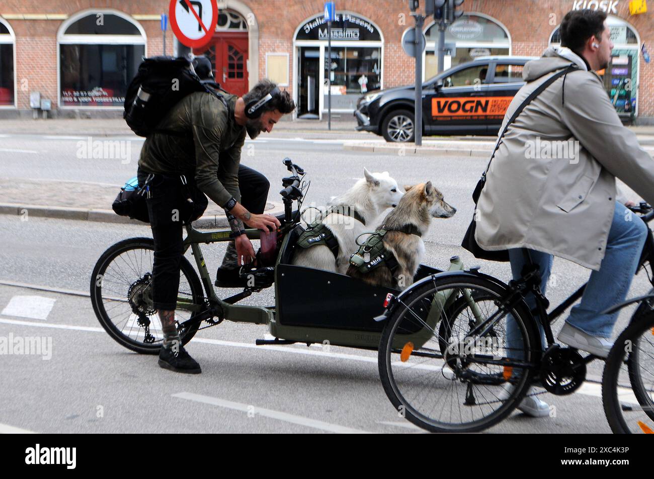 Copenhagen/ Denmark/14 JUNE 2024/ Cargo bikes are very popular in ...