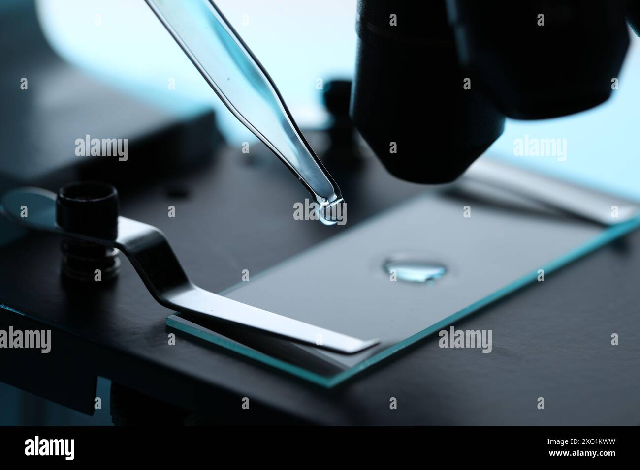 Dripping liquid from pipette onto glass slide on microscope at table ...