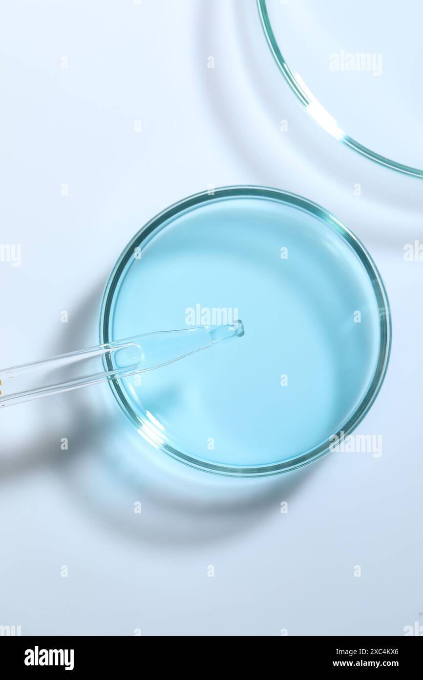 Pipette and petri dishes with liquid on white table, flat lay Stock ...