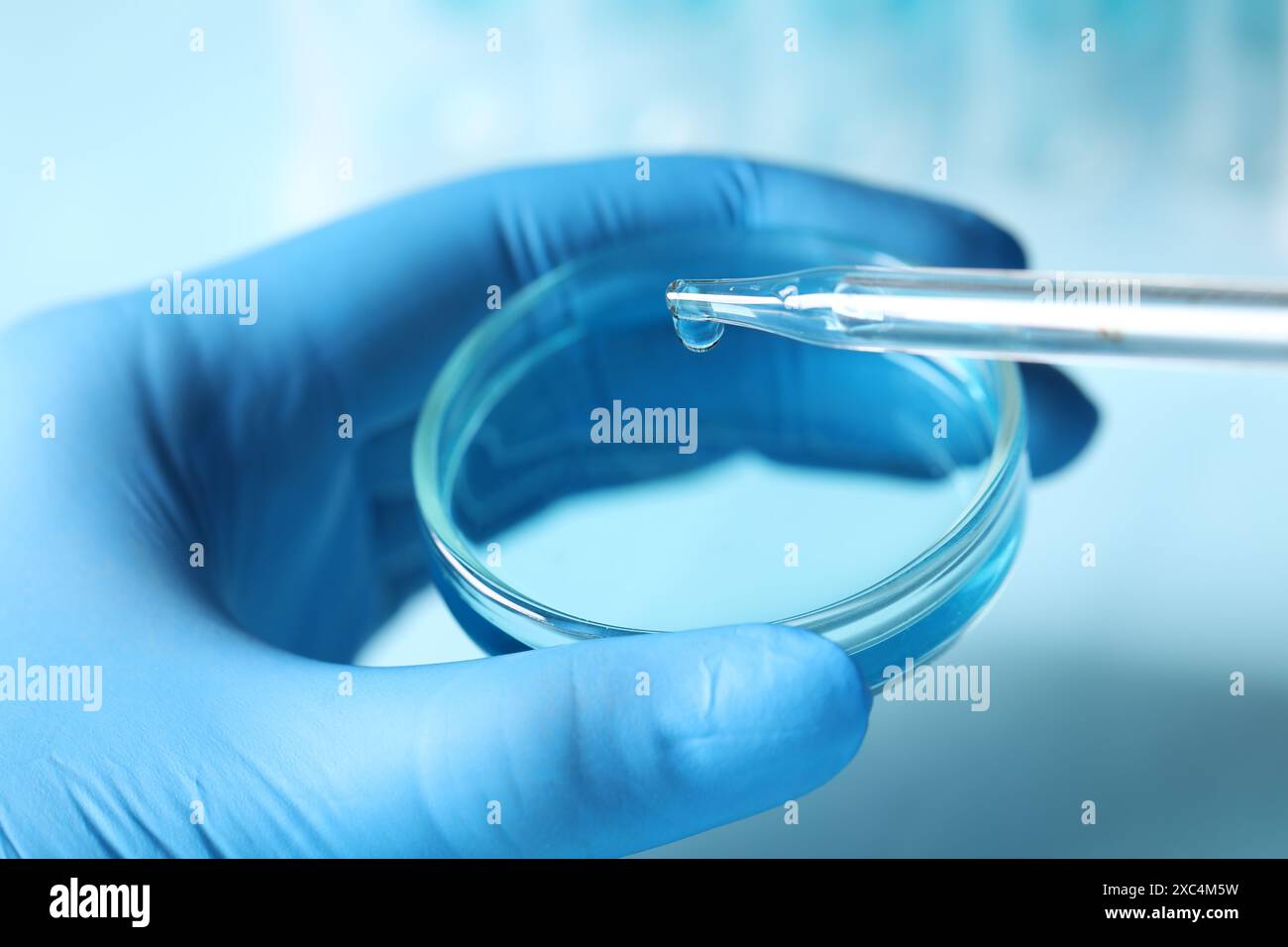 Doctor dripping liquid from pipette into petri dish on light blue ...