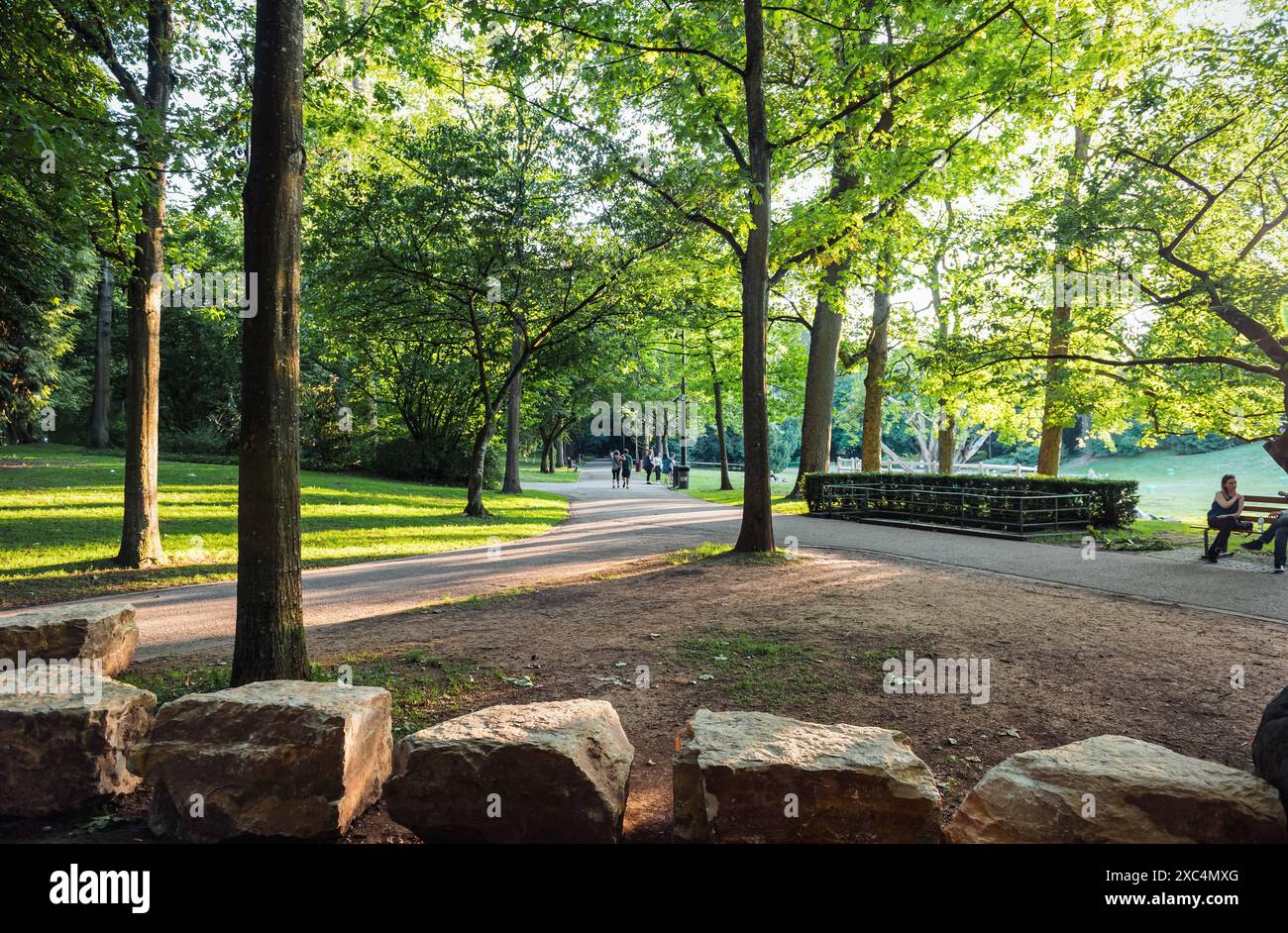 Evening in public park - trees cast long shadows of setting sun, lots ...