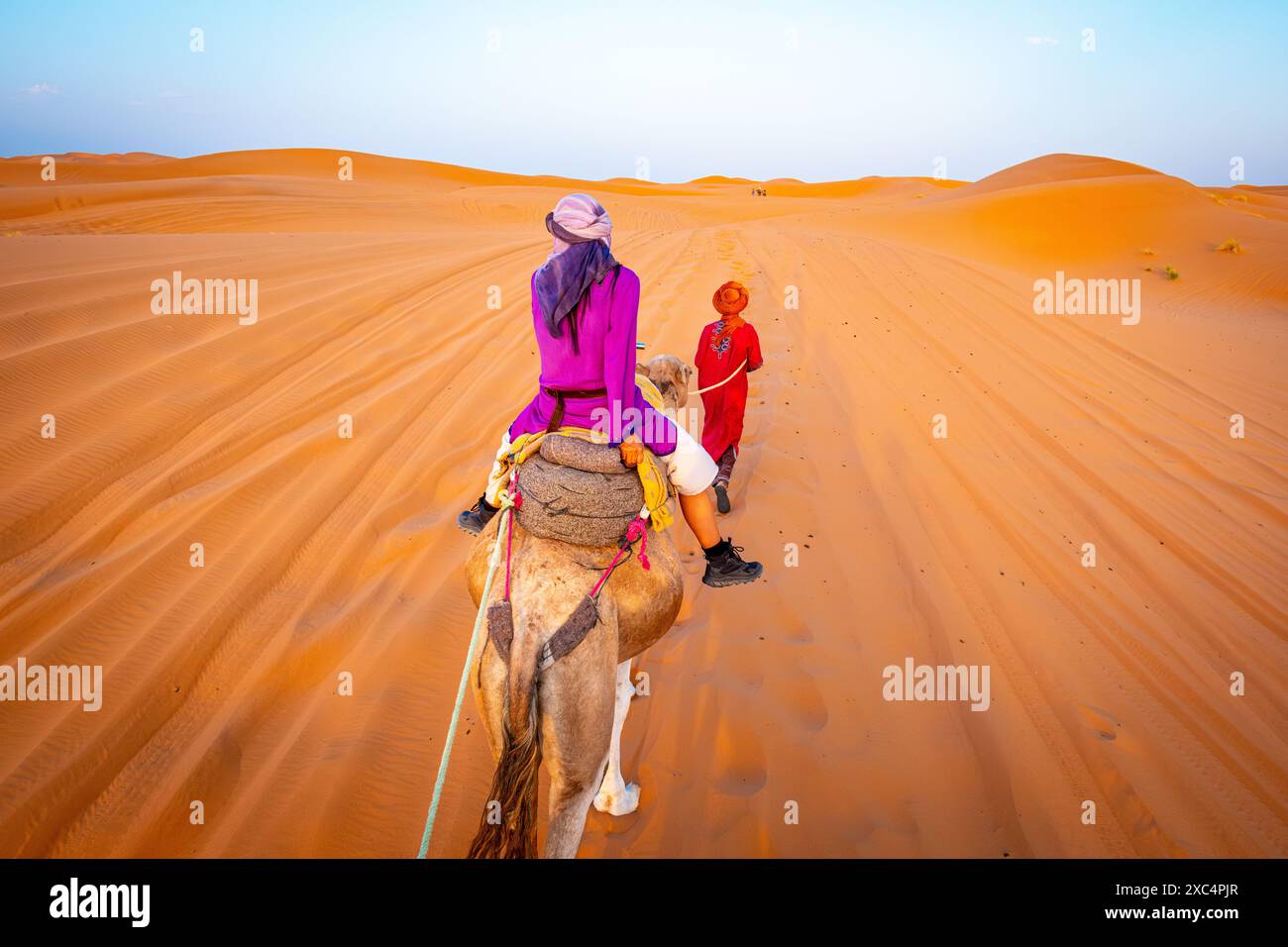 Camel ride in the Sahara desert tour in Merzouga Erg Chebbi dunes Stock ...