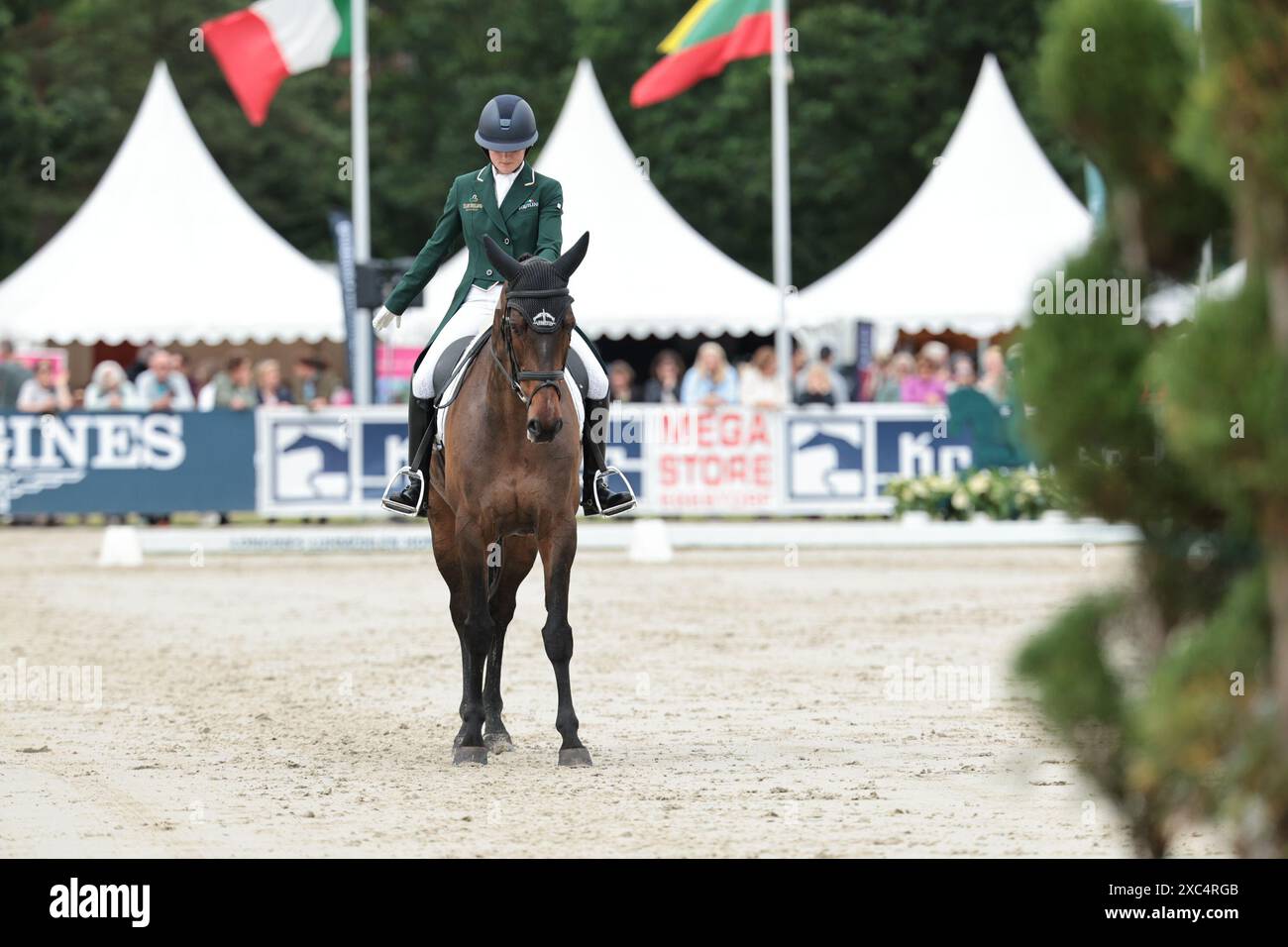 Jennifer Kuehnle of Ireland with Sammy Davis Junior during the CCI5 ...