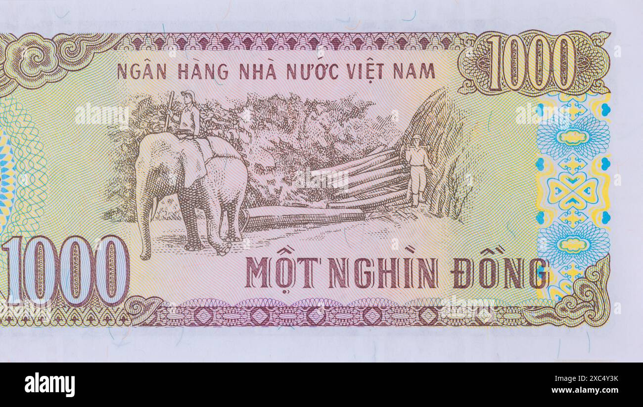 There are denominations of one thousand Dong paper currency banknotes ...