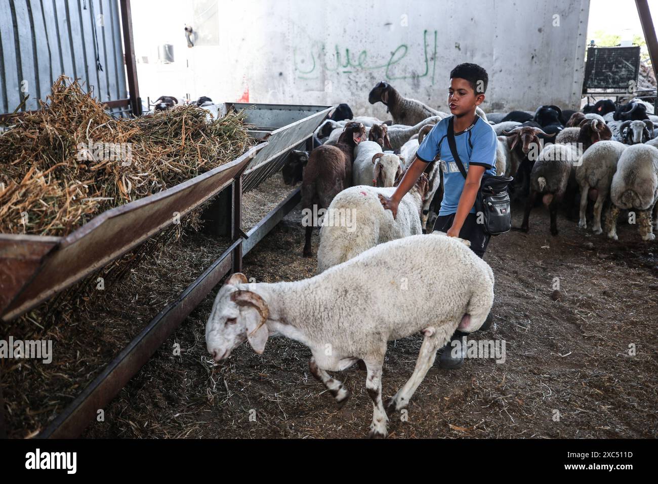 Al khadir hi-res stock photography and images - Alamy