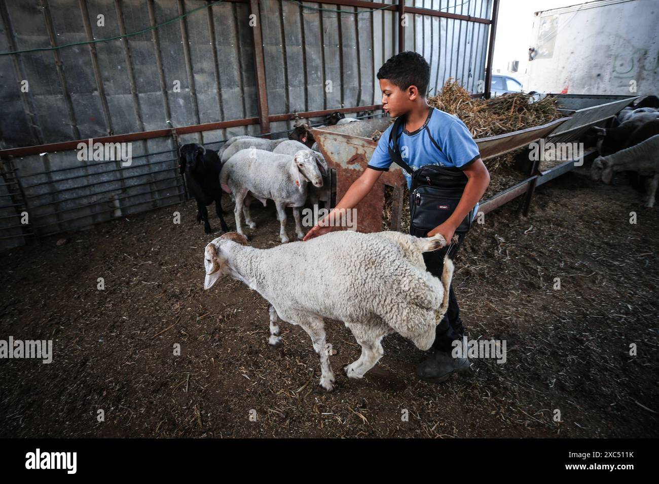 Al khadir hi-res stock photography and images - Alamy