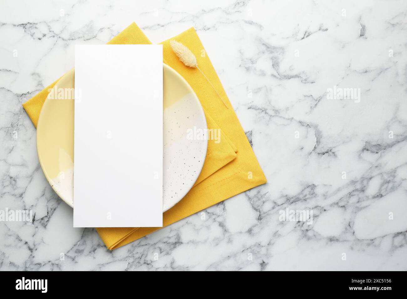 Empty menu, plate, napkin and dry spike on white marble table, top view ...