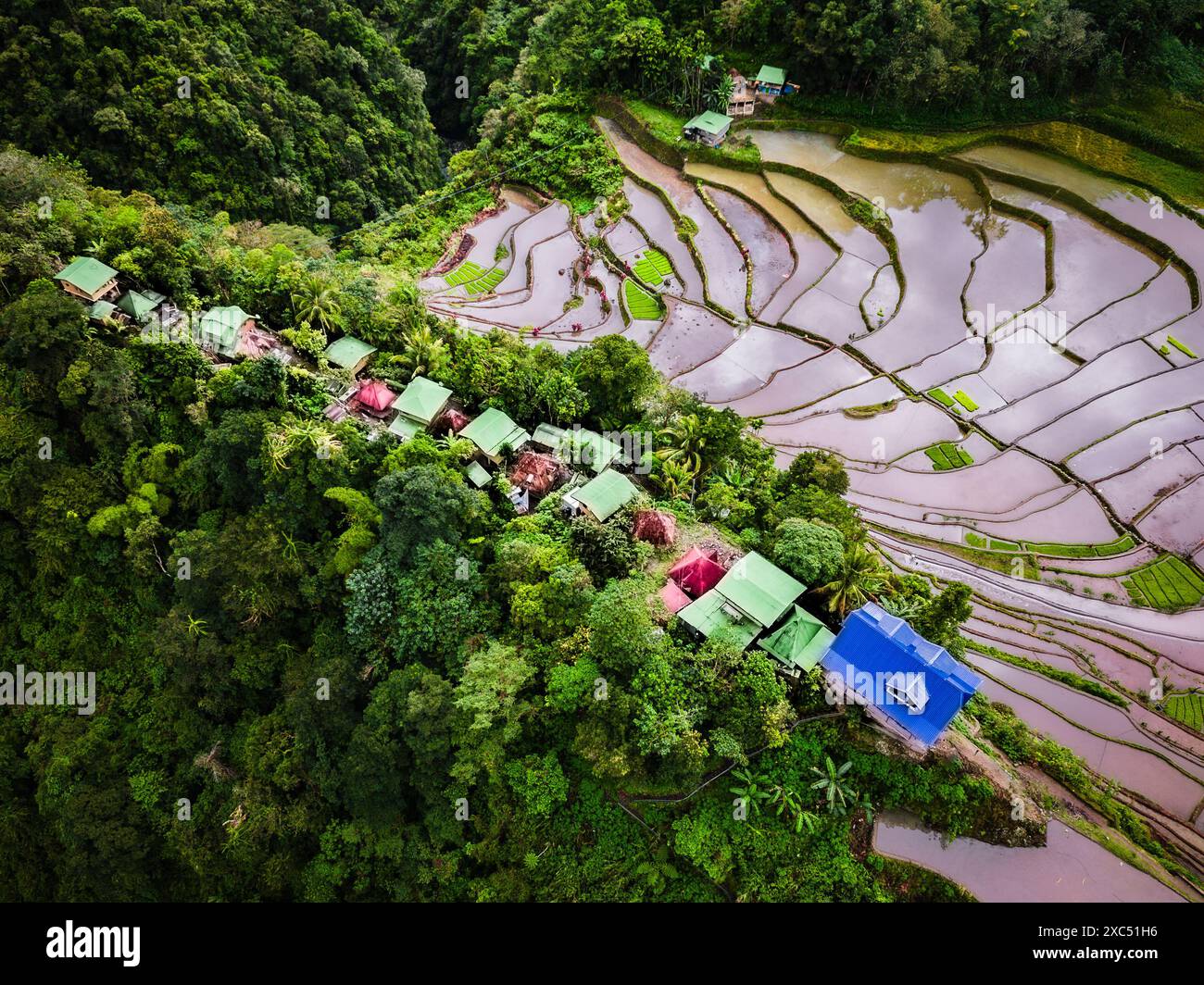 Aerial view of rice terraces in Banaue, Philippines Stock Photo - Alamy