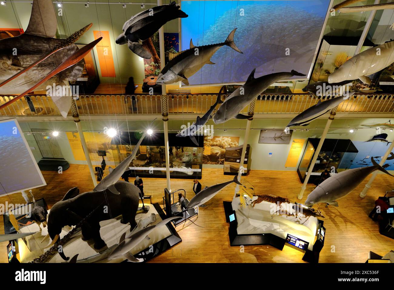 Natural World Galleries inside of National Museum of Scotland.Edinburgh ...