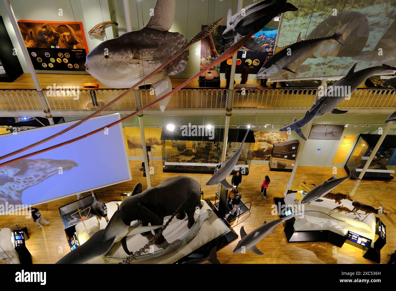 Natural World Galleries inside of National Museum of Scotland.Edinburgh ...