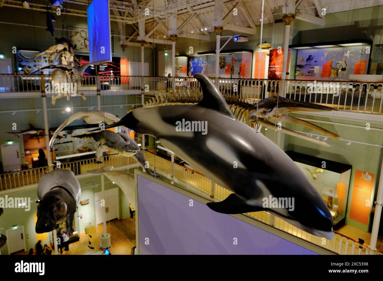 Natural World Galleries inside of National Museum of Scotland.Edinburgh ...