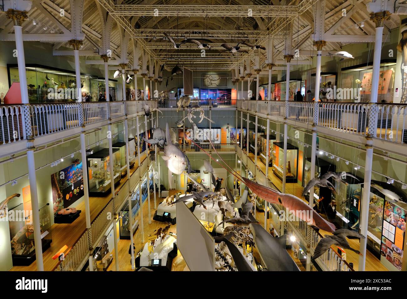 Natural World Galleries inside of National Museum of Scotland.Edinburgh ...